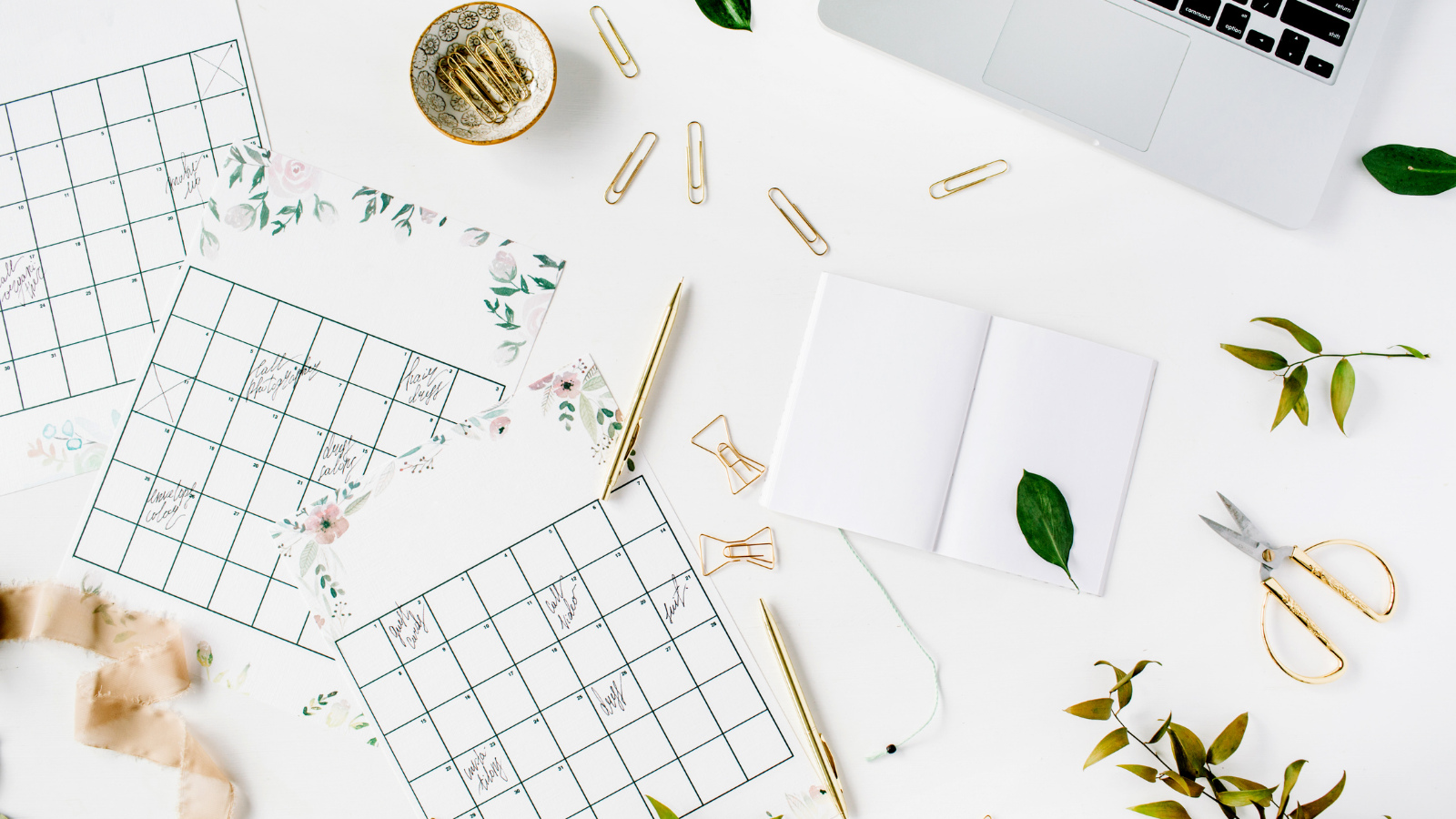 Calendso rebrands to Cal.com - Smart Branding