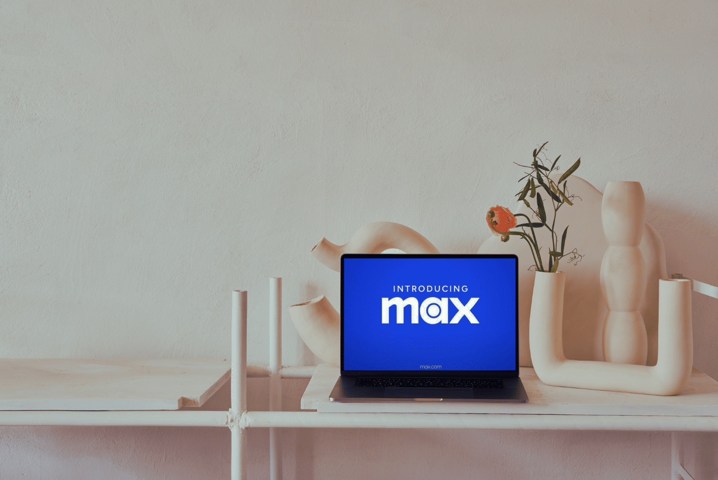 Enhancing Engagement and Profitability: The Launch of Max" - Smart Branding