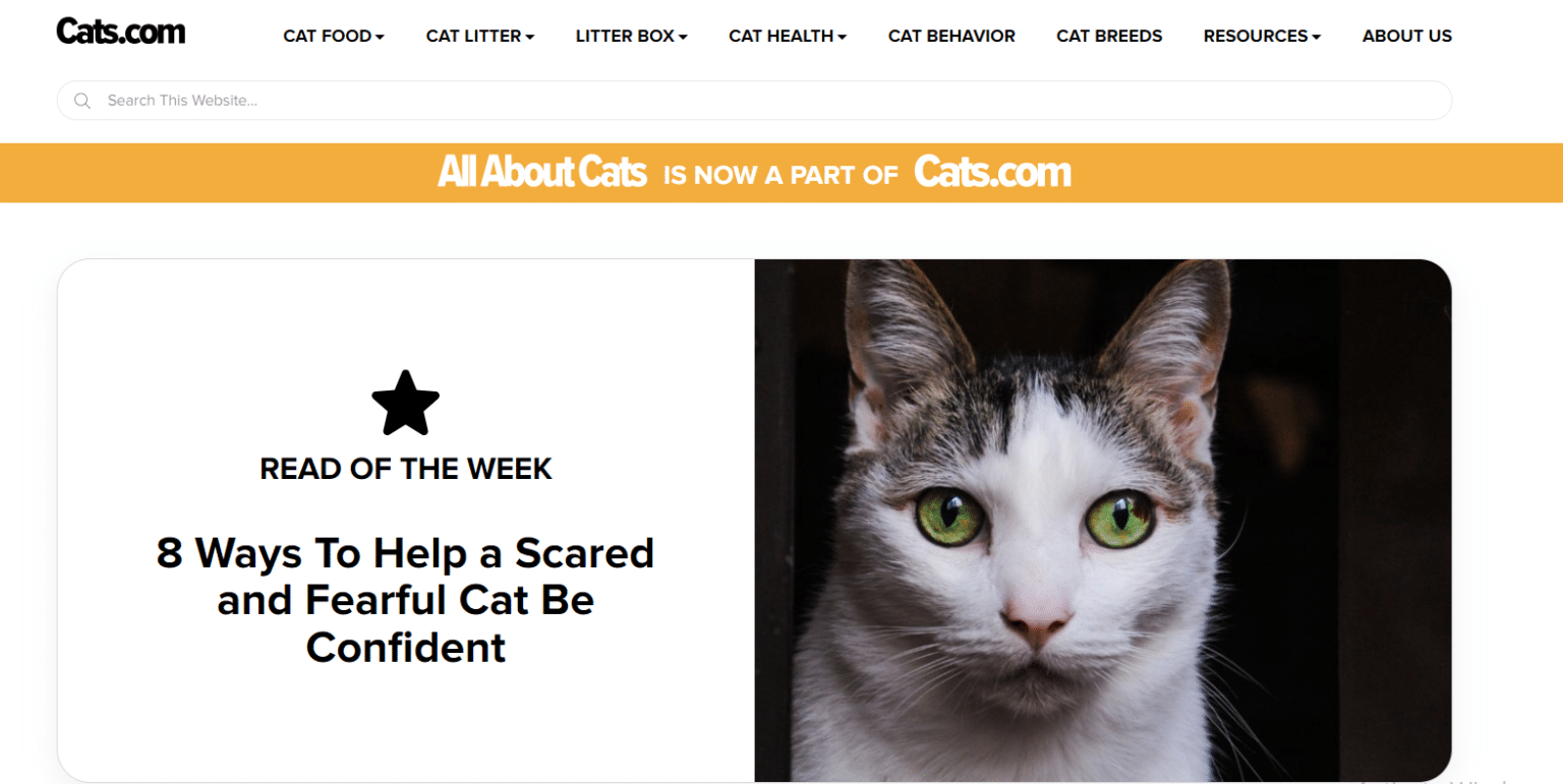 All About Cats Rebrands to Cats.com
