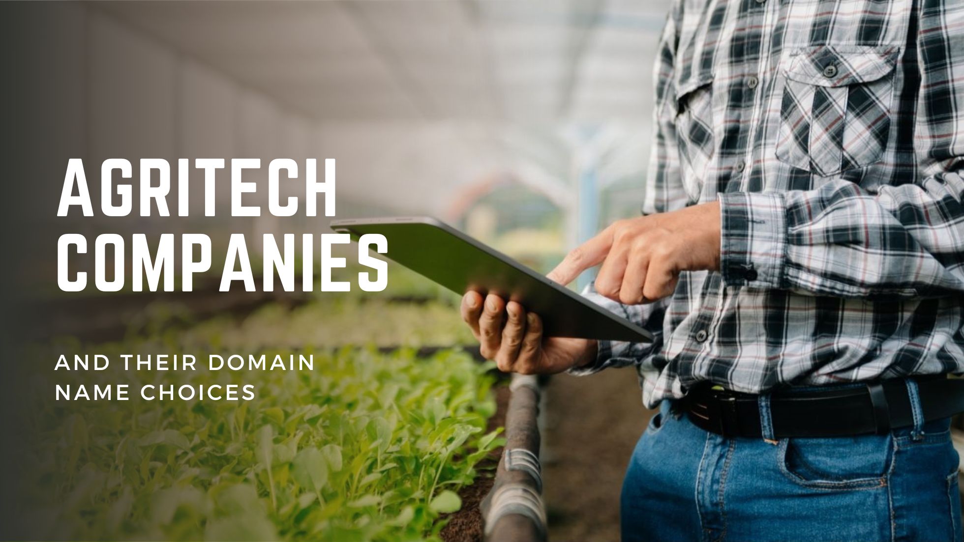 Agritech Companies and Their Domain Name Choices