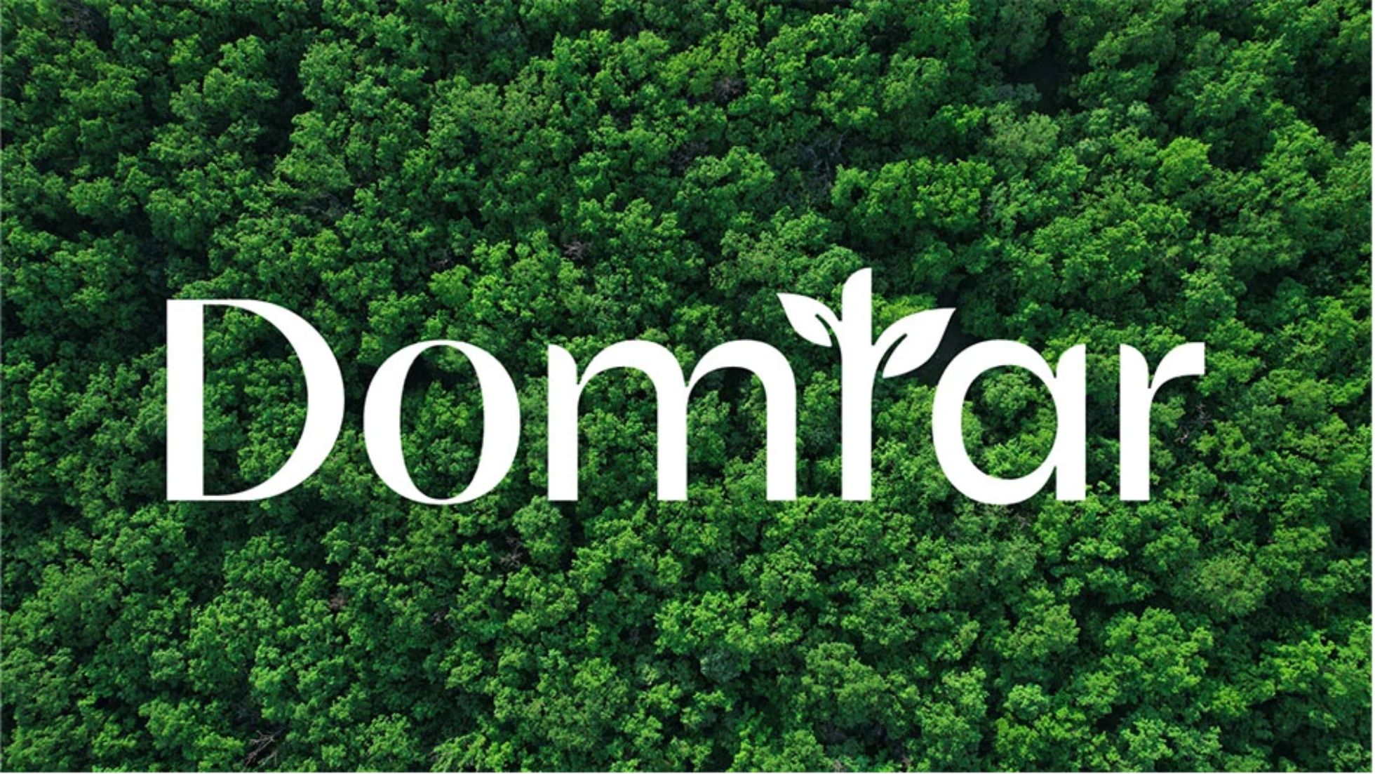 Paper Excellence Group Rebrands to Domtar